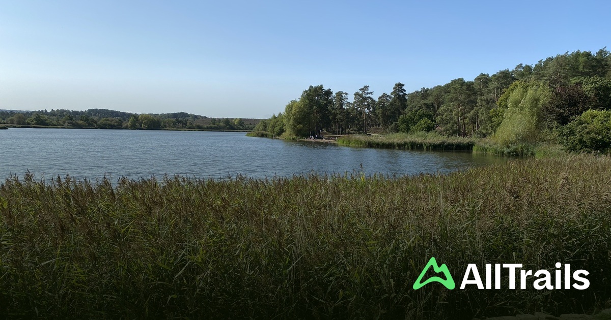 Frensham Little Pond - hikes and trails to get you there | AllTrails