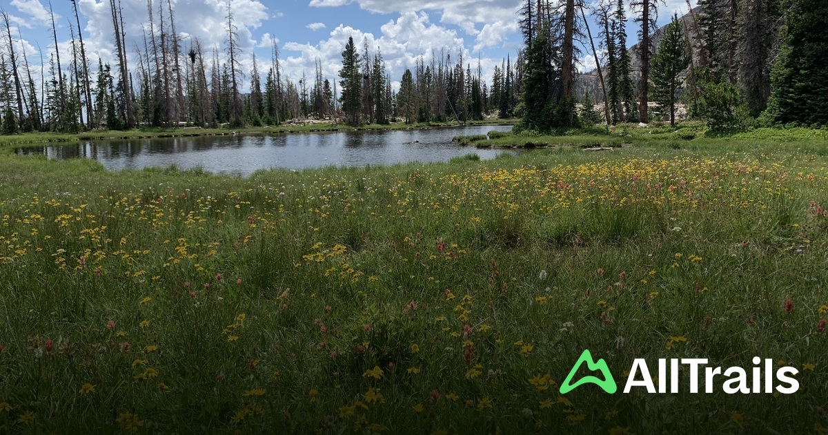 Wall Lake - hikes and trails to get you there | AllTrails