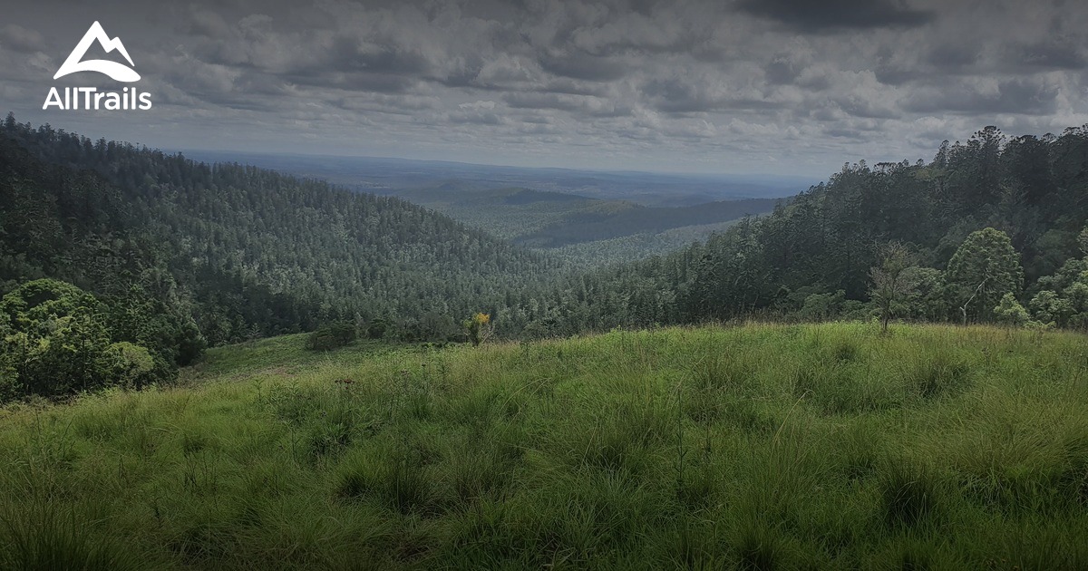 Paradise Falls - hikes and trails to get you there | AllTrails