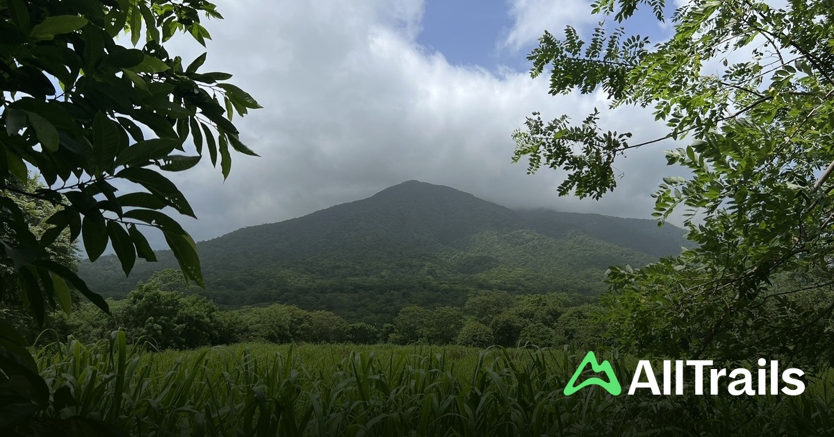 Best trails near Playa Monkey Island | AllTrails