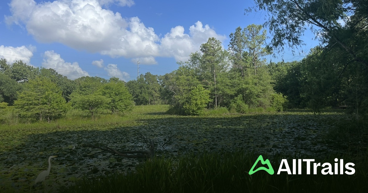 Houston Arboretum & Nature Center - hikes and trails to get you there ...