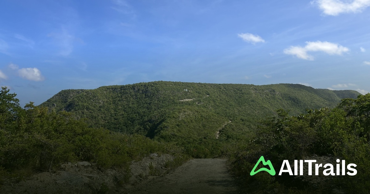 As melhores trilhas perto de Plage à Fifi | AllTrails