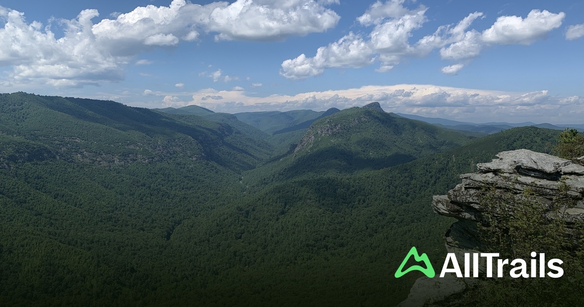 Gully Pipe - hikes and trails to get you there | AllTrails