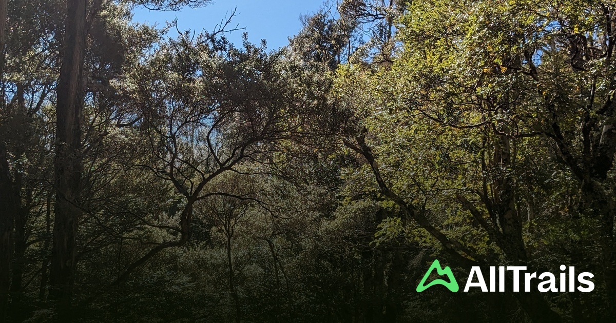 Weld River - hikes and trails to get you there | AllTrails