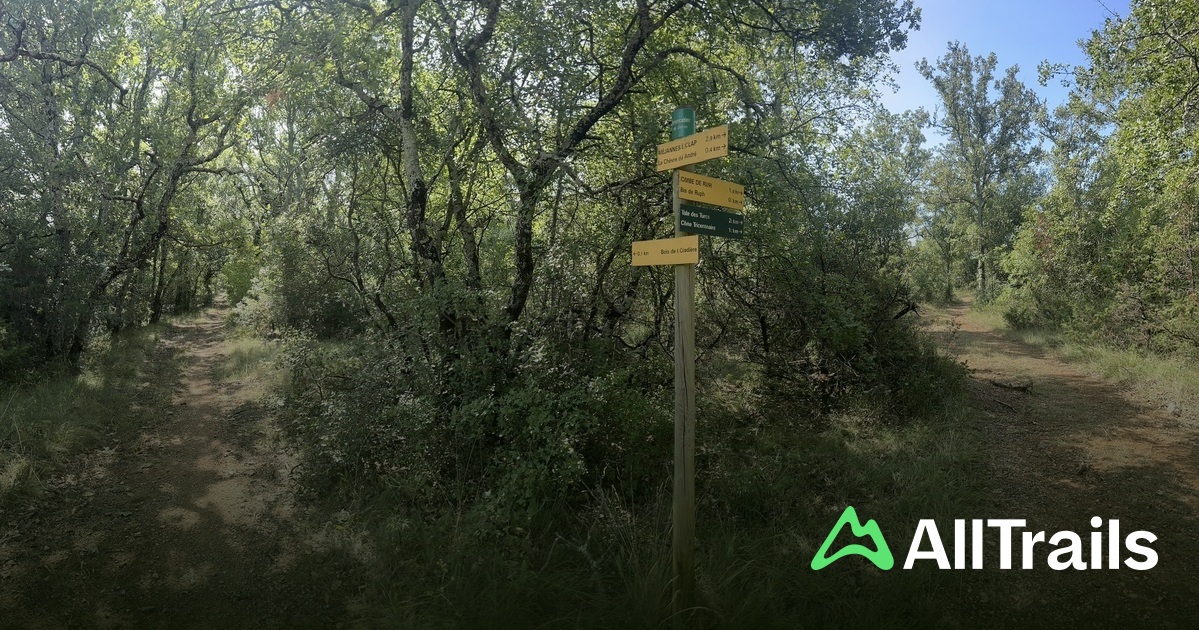 Best trails near Dolmen dit la Maison des Fées | AllTrails