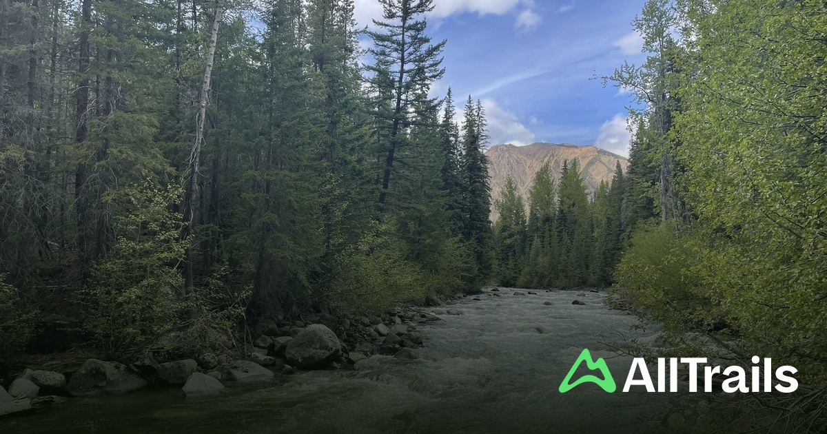 Hummingbird Lake Wilderness Campground - hikes and trails to get you ...