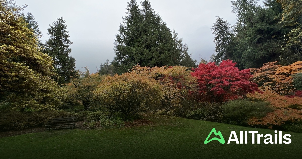 Japanese Maples - hikes and trails to get you there | AllTrails