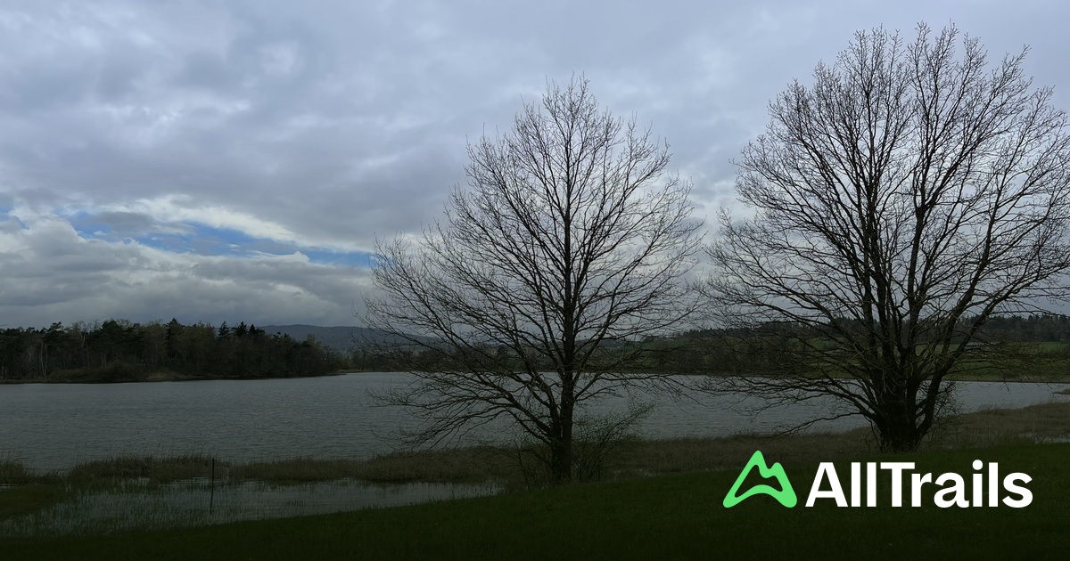 Dampfbahn Katzensee - hikes and trails to get you there | AllTrails