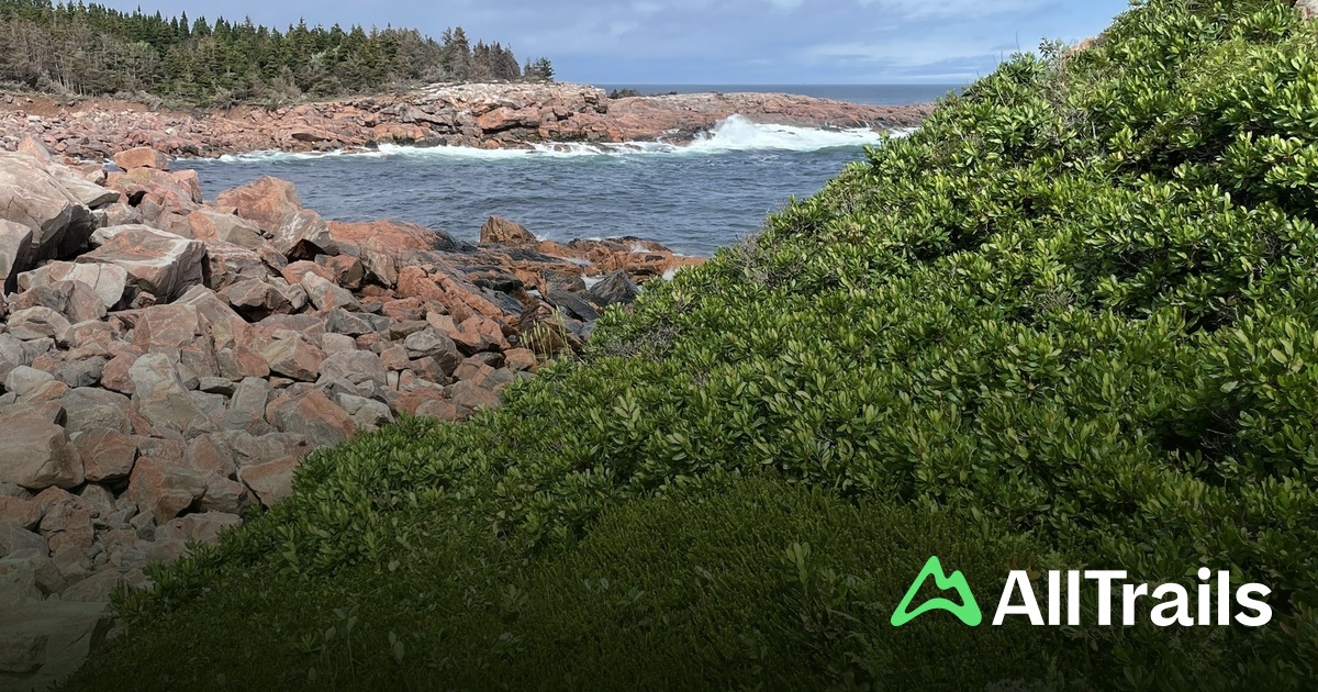 Two Rock Cove: Die besten Routen in der Umgebung | AllTrails