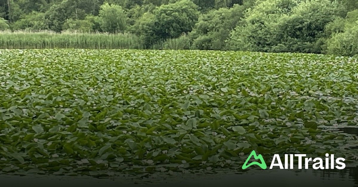 Bedste ruter i nærheden af Campingplatz Strandgut | AllTrails