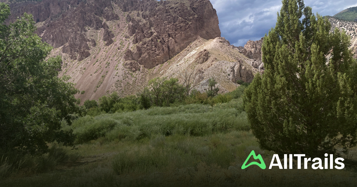 Barney Lake - hikes and trails to get you there | AllTrails