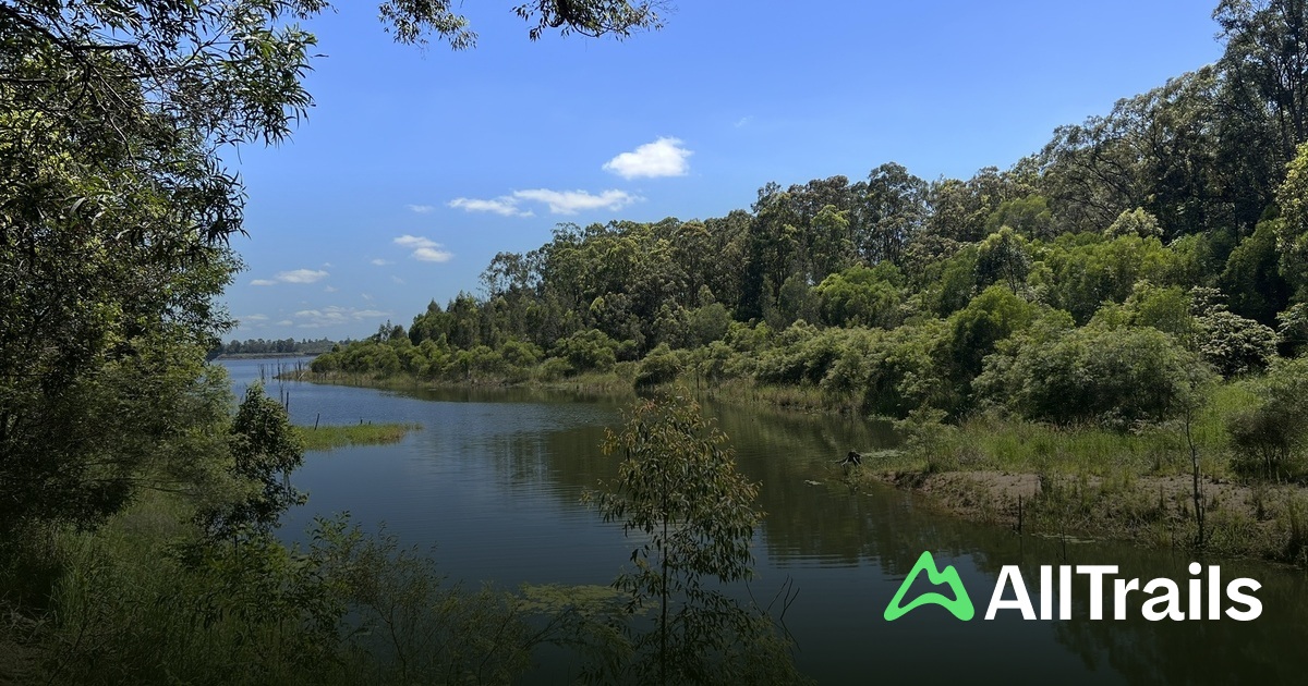 Lake Samsonvale - hikes and trails to get you there | AllTrails