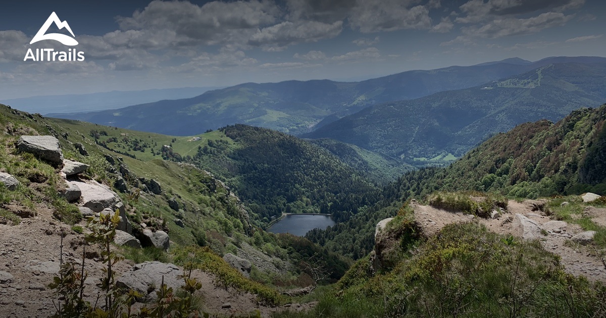 Hohneck : les 10 meilleurs itinéraires à proximité | AllTrails