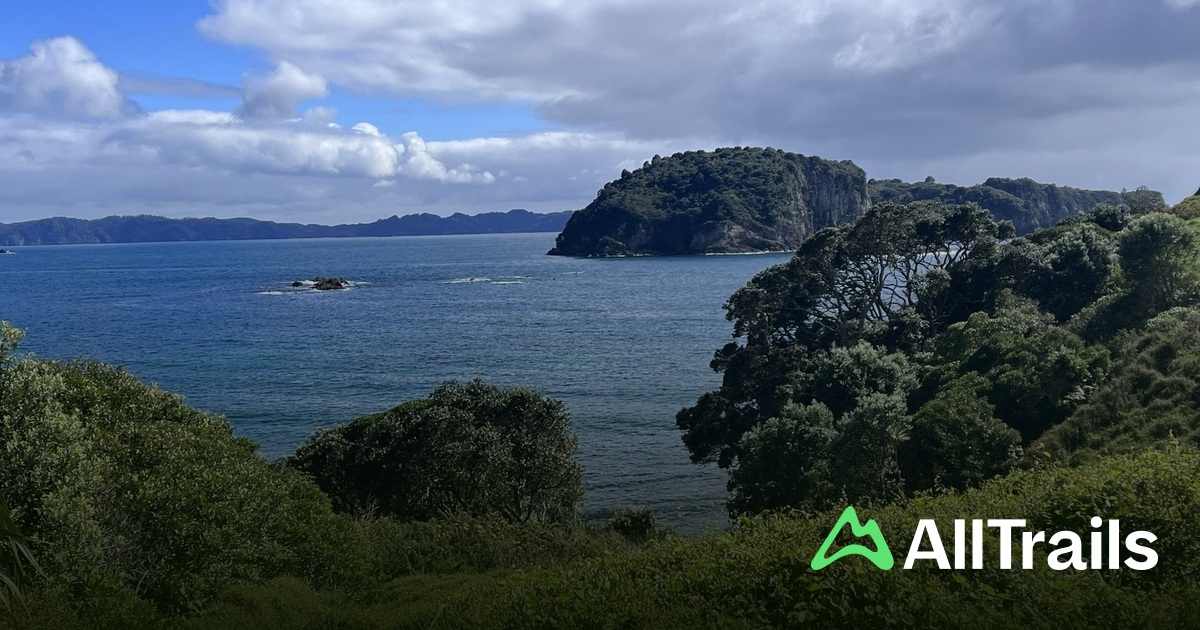 Hahei Beach - hikes and trails to get you there | AllTrails