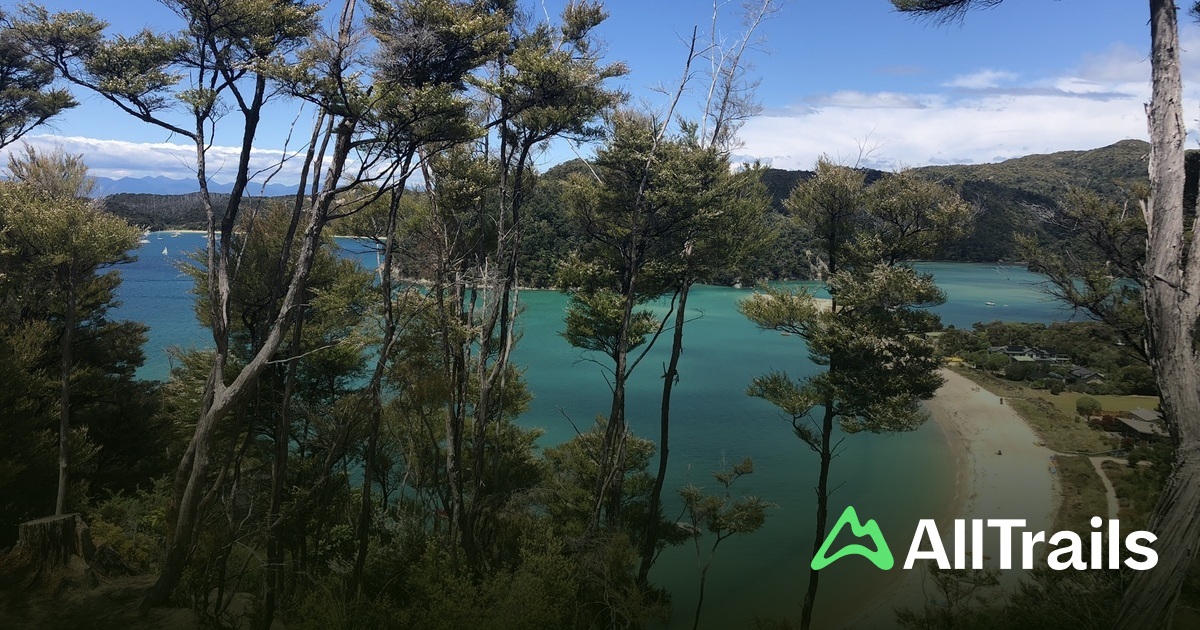 Bark Bay Hut - hikes and trails to get you there | AllTrails