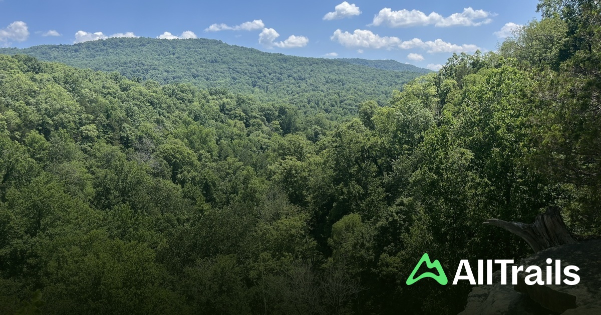 Buggytop Cave (Lost Cove Cave) - hikes and trails to get you there ...
