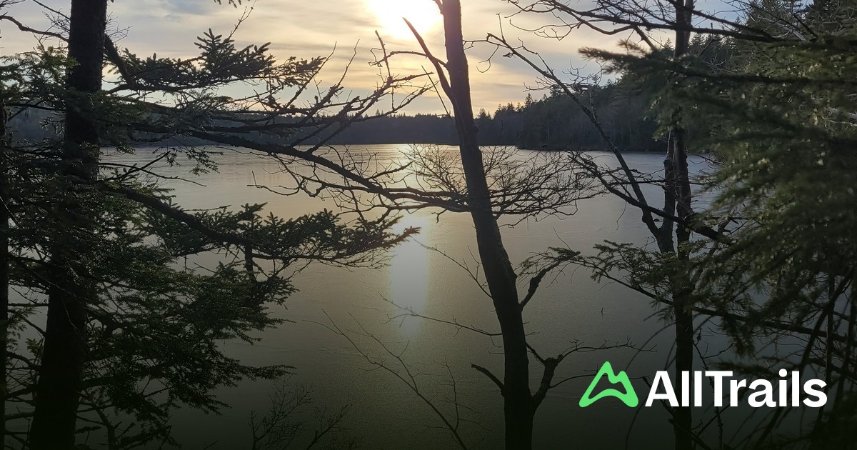 Beaver Lake - hikes and trails to get you there | AllTrails
