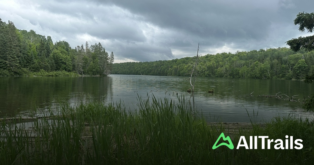 Prichard Lake - hikes and trails to get you there | AllTrails