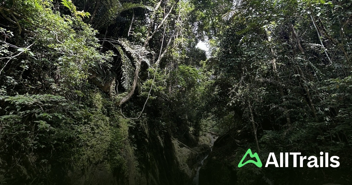 Gunung Gading National Park - hikes and trails to get you there | AllTrails