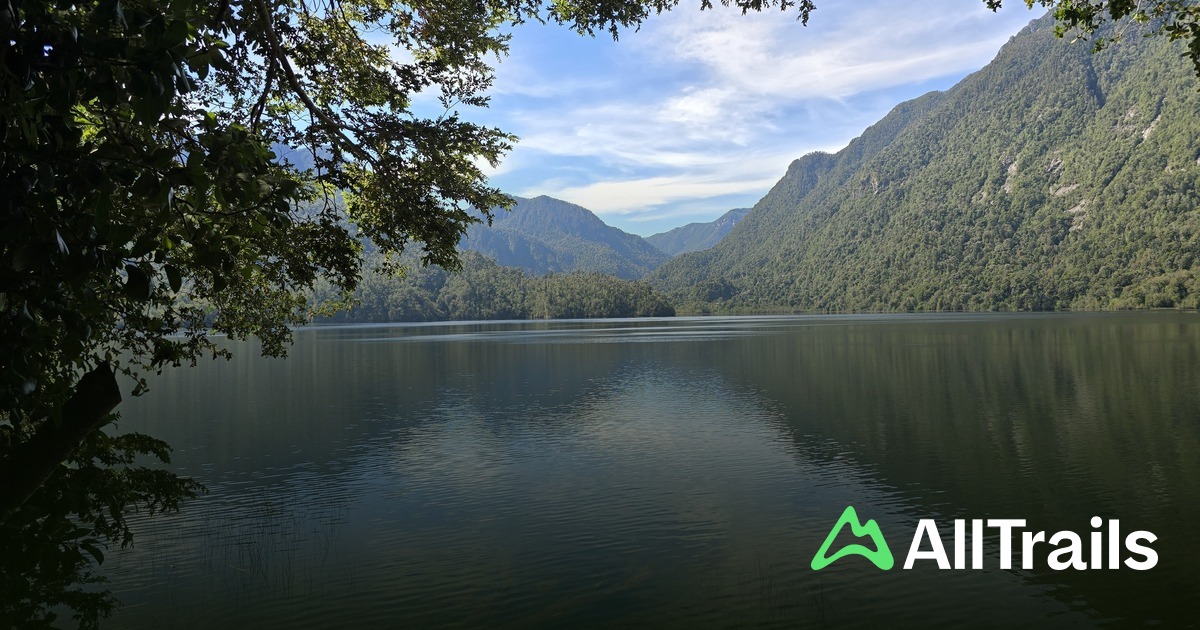 Alerce Milenario - hikes and trails to get you there | AllTrails