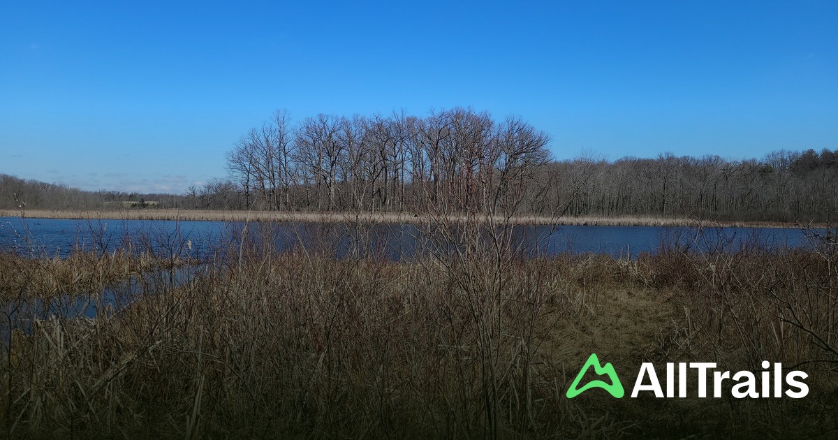 Davison Lake - hikes and trails to get you there | AllTrails
