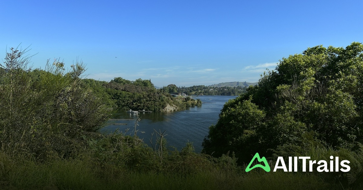 Los mejores senderos cerca de Karapiro Dam | AllTrails