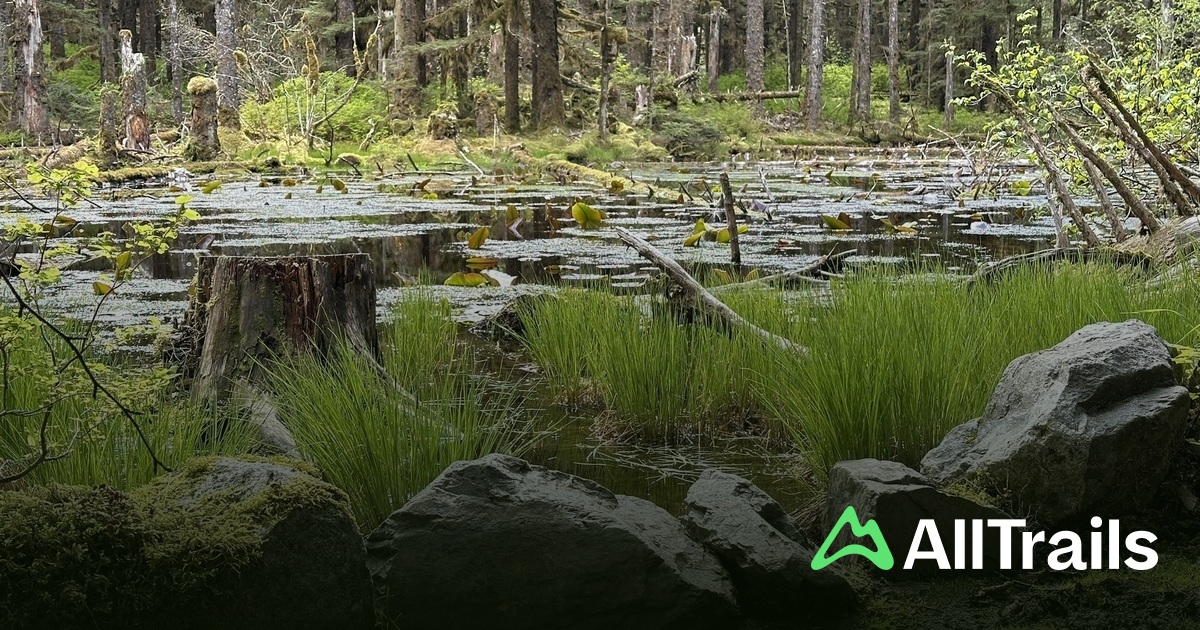 Best trails near Humpback Whale Exhibit | AllTrails