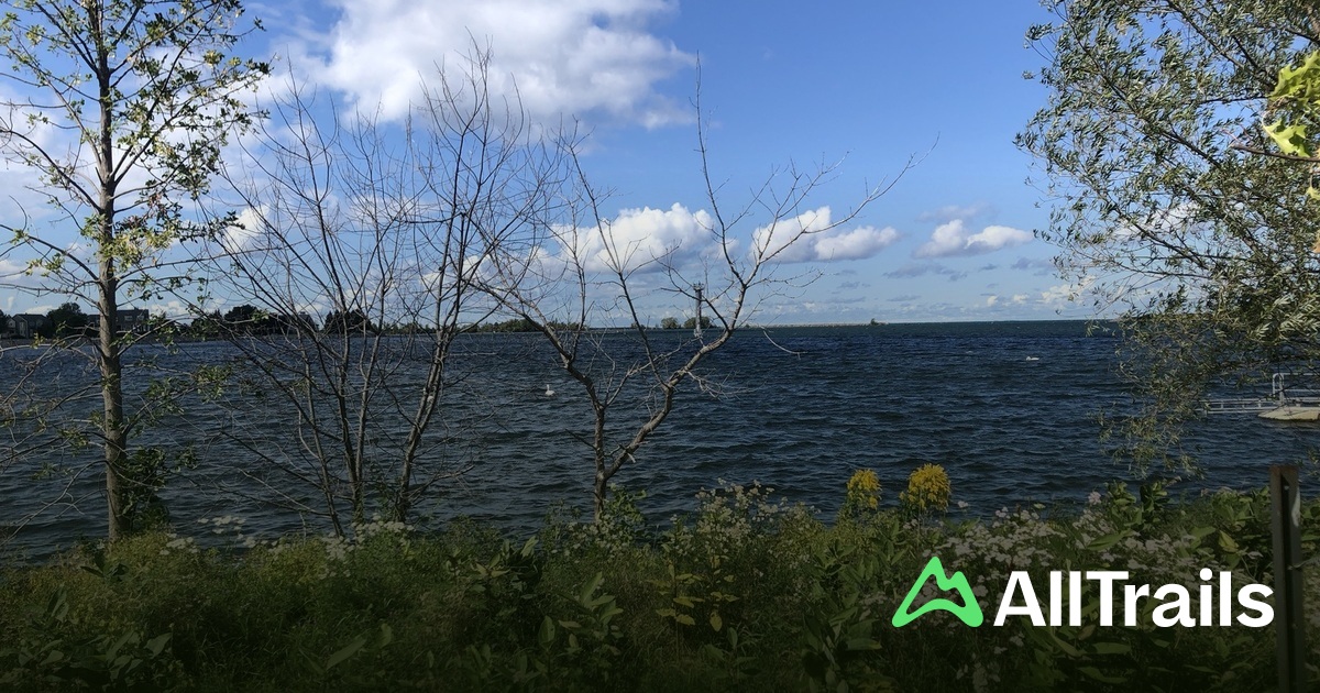 Craigleith Provincial Park Campground - hikes and trails to get you ...