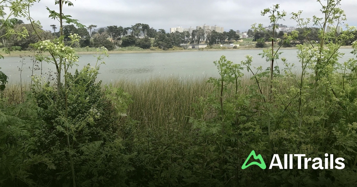 I migliori sentieri vicino a Adam Rodgers Park Community Garden | AllTrails