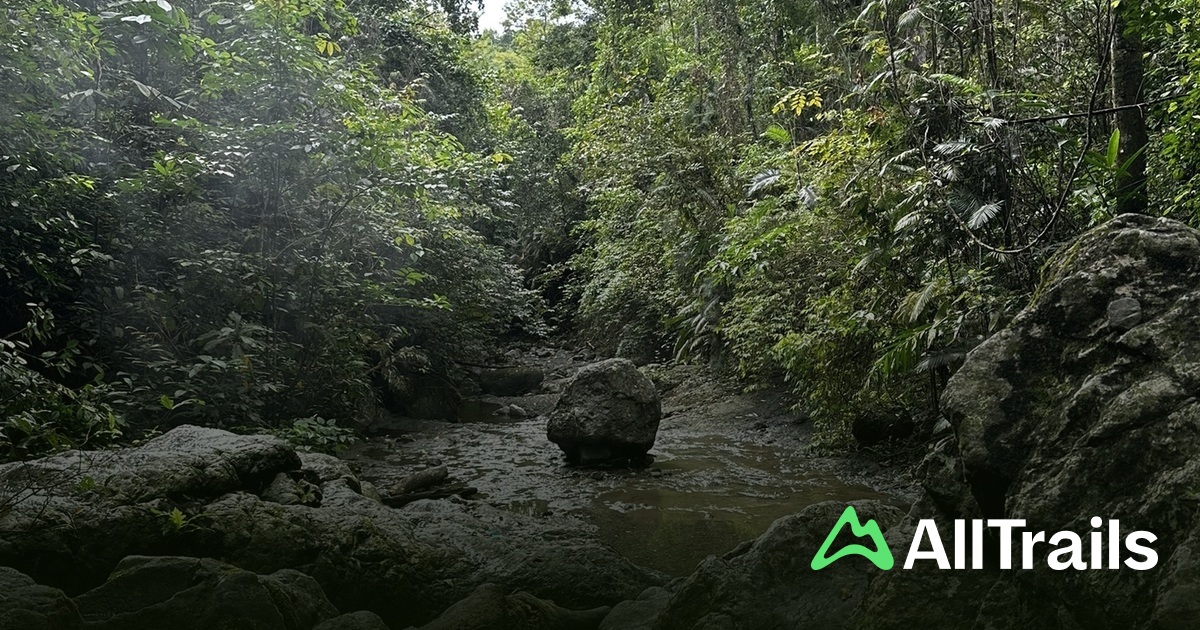 Langgitan Falls - hikes and trails to get you there | AllTrails