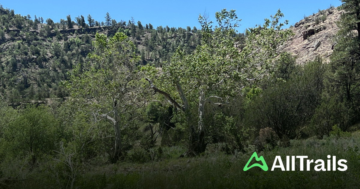 East Fork Gila River : les meilleures randonnées | AllTrails