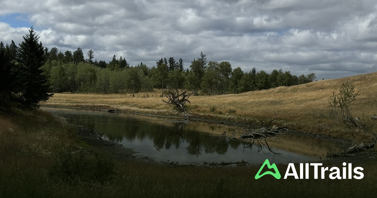 Hamilton Lake - hikes and trails to get you there | AllTrails