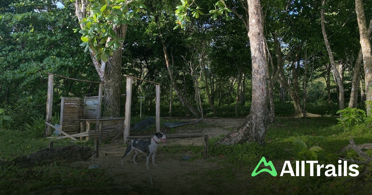 Wizard Beach - hikes and trails to get you there | AllTrails