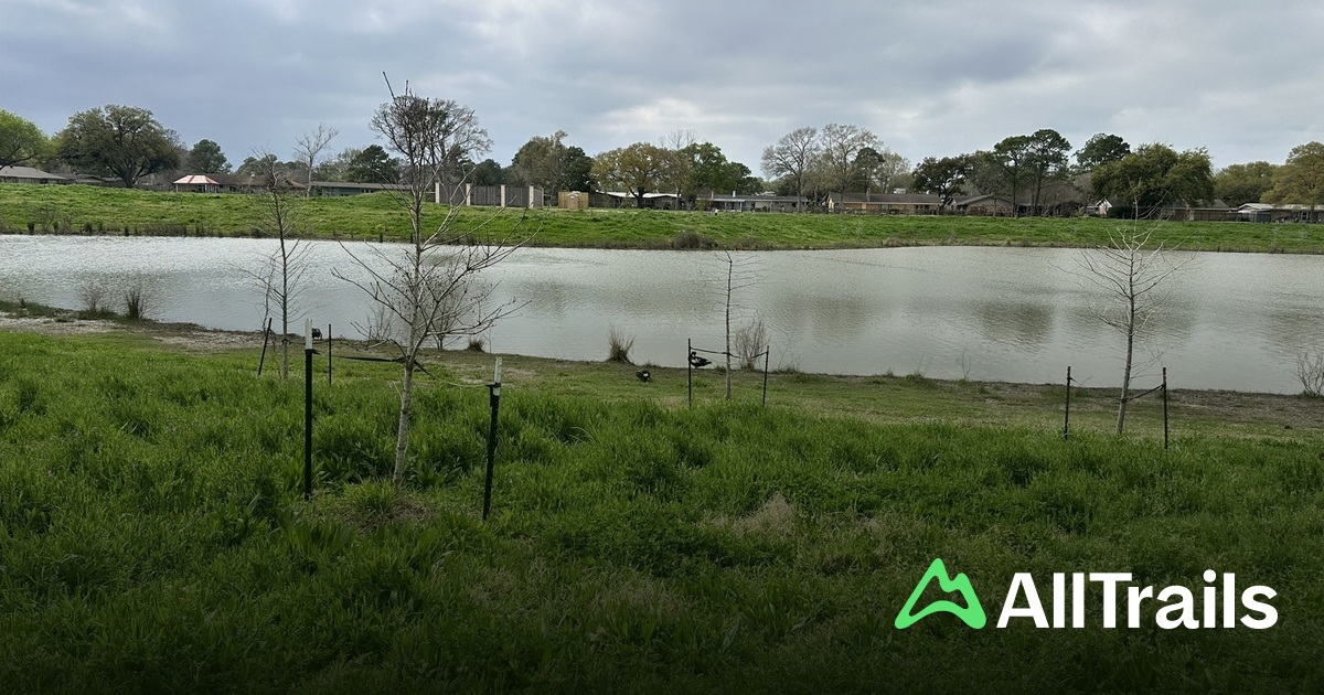 Los mejores senderos cerca de Exploration Green Phase 1 | AllTrails