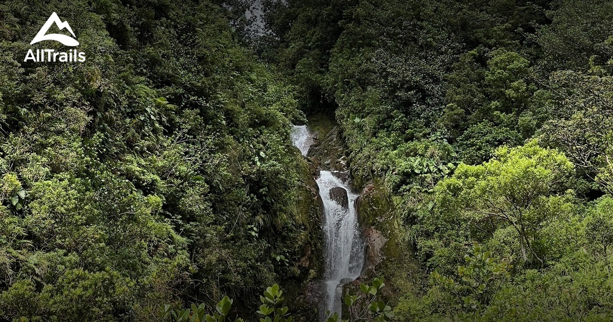 Galion falls - hikes and trails to get you there | AllTrails