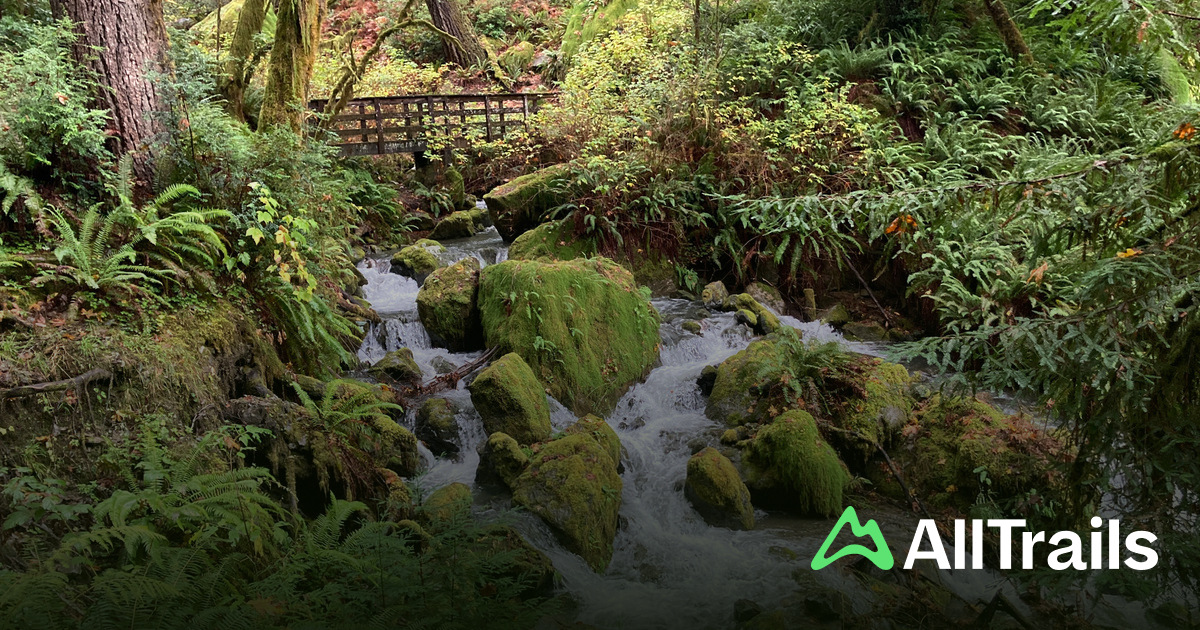 Chetco River - hikes and trails to get you there | AllTrails