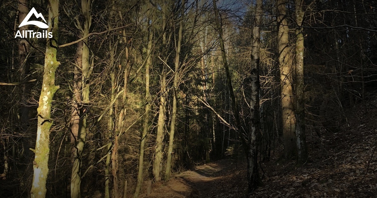 Best trails near Rebberg | AllTrails