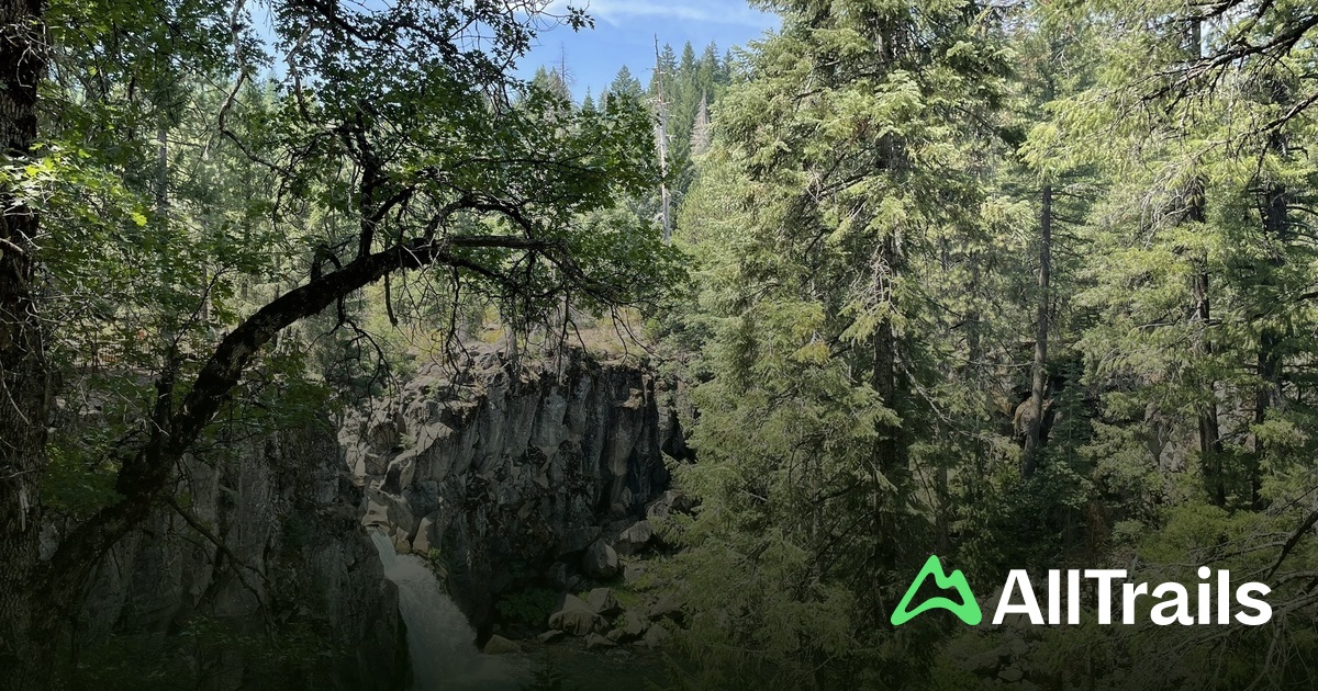 Upper Falls Day Use Area - hikes and trails to get you there | AllTrails