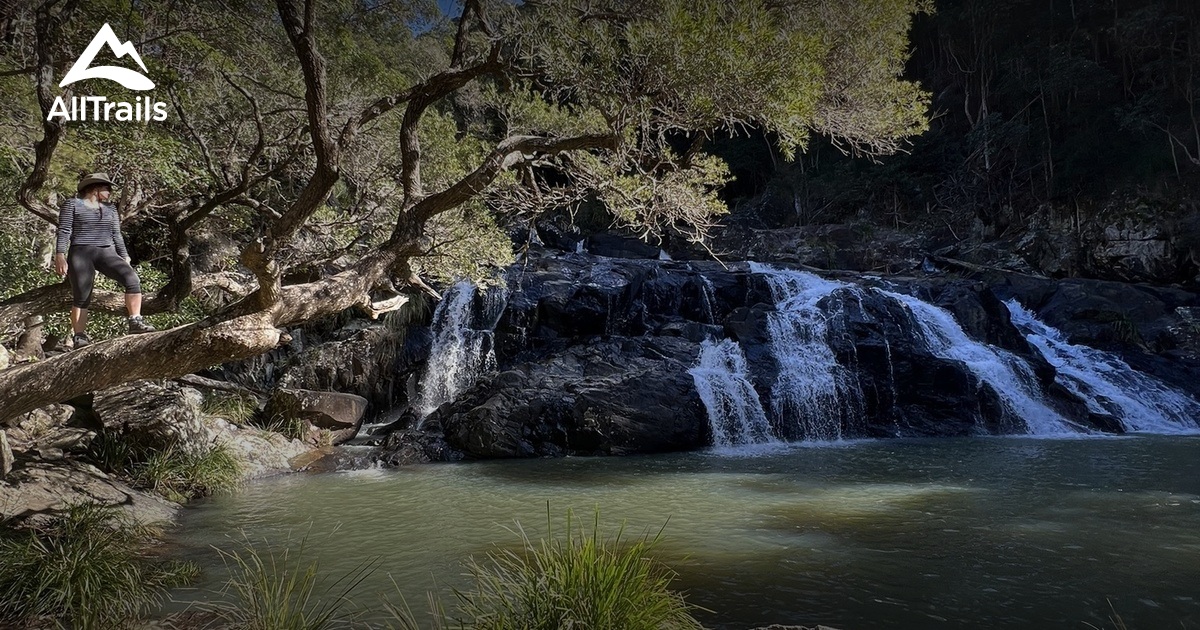 Booloumba Falls - hikes and trails to get you there | AllTrails