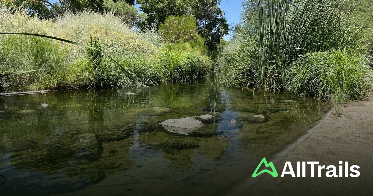 Santa Cruz River - hikes and trails to get you there | AllTrails