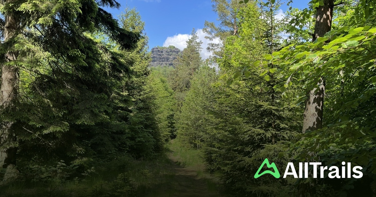 Mathias-Otto-Eiche: Die besten Routen in der Umgebung | AllTrails