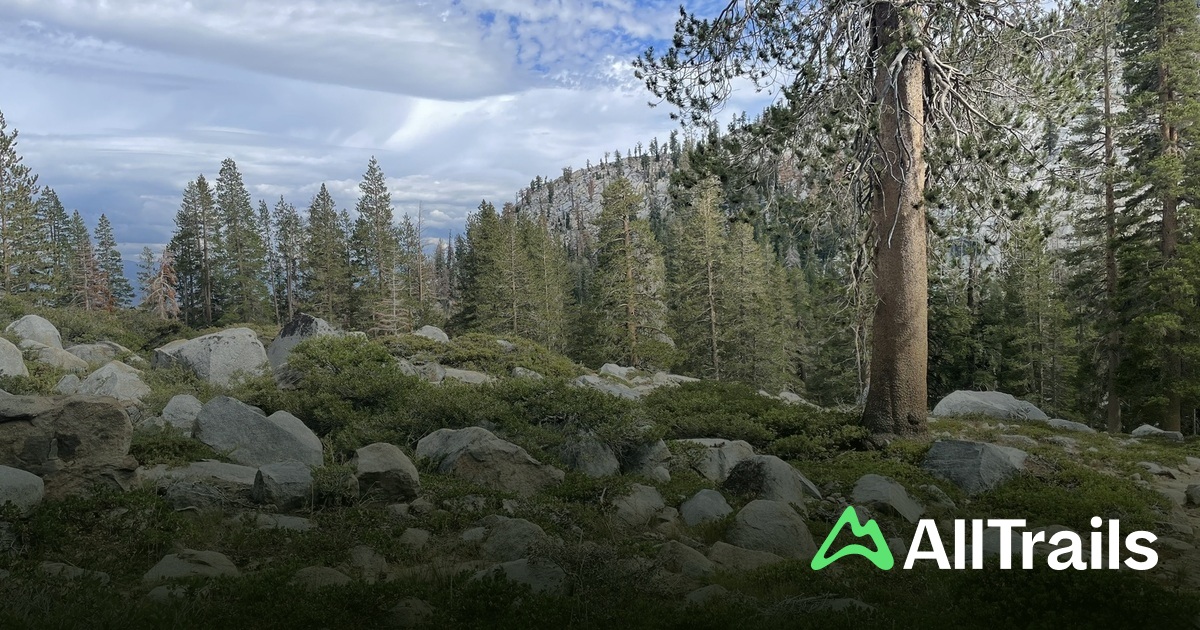 Lady Lake - hikes and trails to get you there | AllTrails