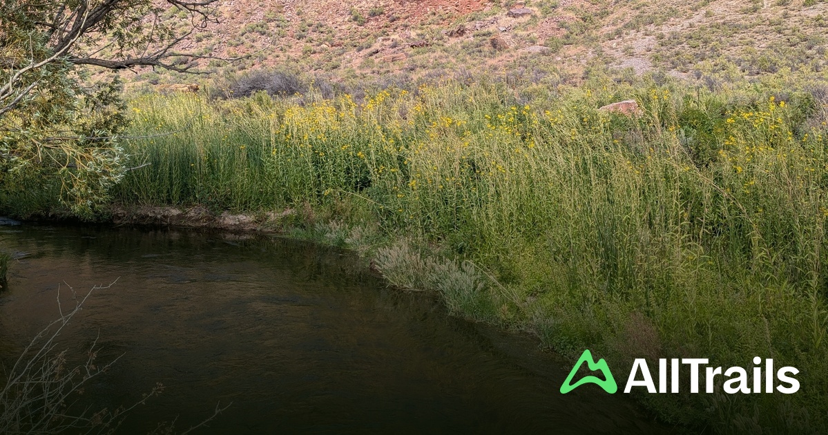 Best trails near Challis Bridge Recreation Site | AllTrails