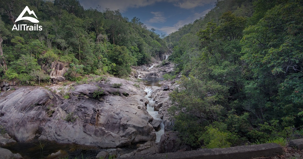 Clamshell Falls - hikes and trails to get you there | AllTrails