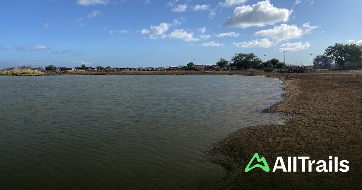 Moanalua Stream - hikes and trails to get you there | AllTrails