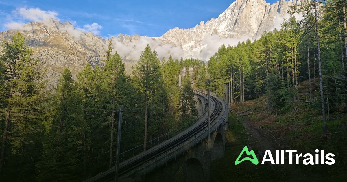 Dalle du Montenvers : les meilleures randonnées | AllTrails