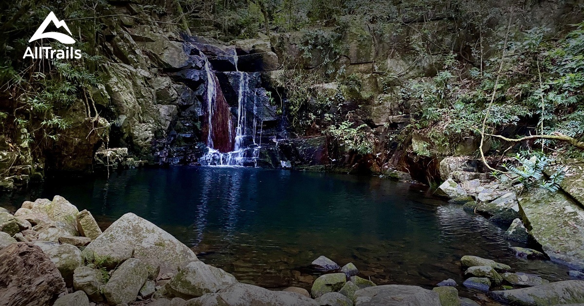 Triple Falls - hikes and trails to get you there | AllTrails