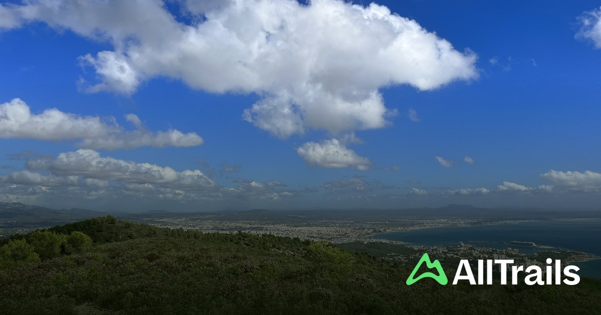 Mina des Guix de Bendinat I - hikes and trails to get you there | AllTrails
