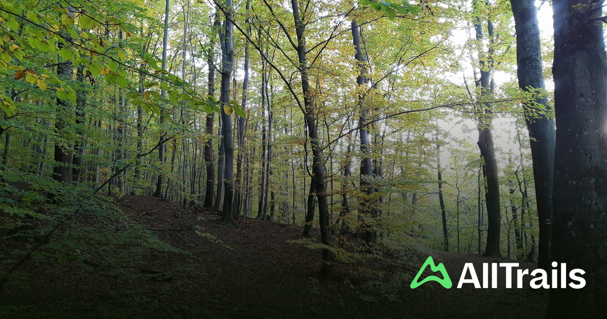 Bästa lederna nära Horolezecká stena Rokodromo | AllTrails