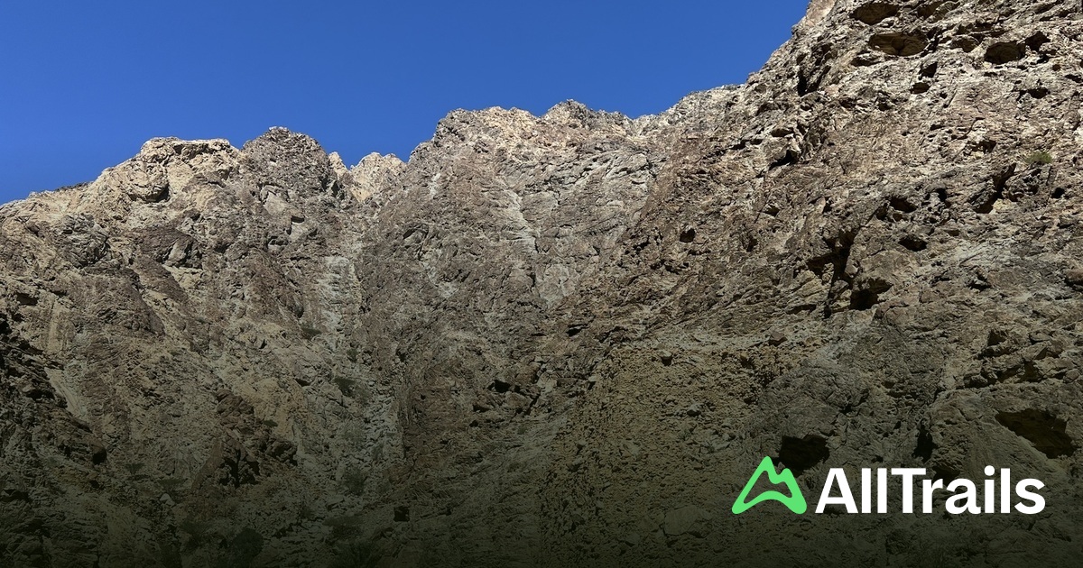 Best trails near As Saruj Dam Reservoir | AllTrails